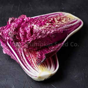 Merlot Chinese Cabbage (F1) Seeds: Purple Chinese Cabbage, Red Chinese ...