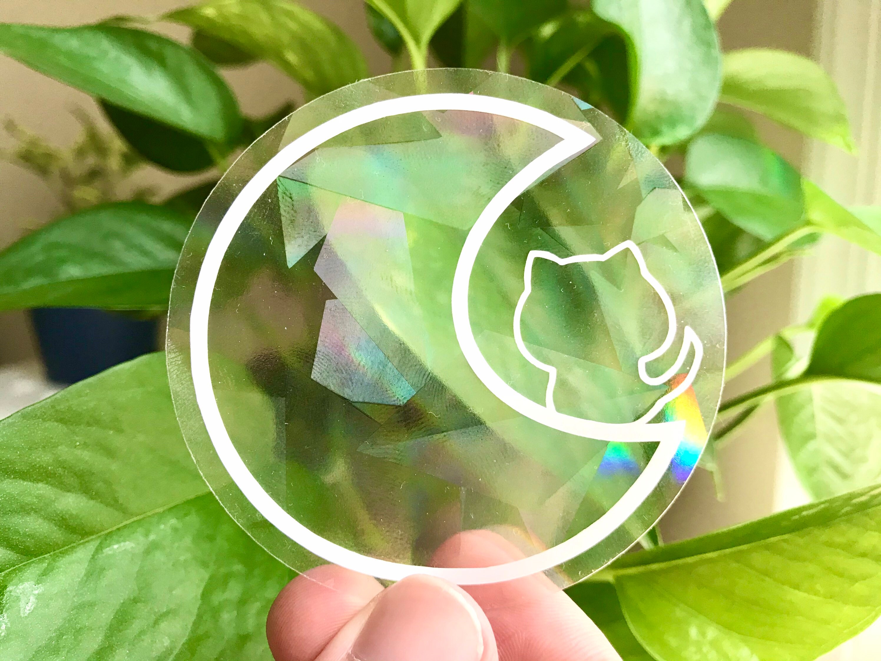 Cat Moon Rainbow Suncatcher Stickers for Windows - Etsy