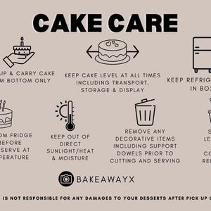 Cake Care Instructions Digital - Etsy