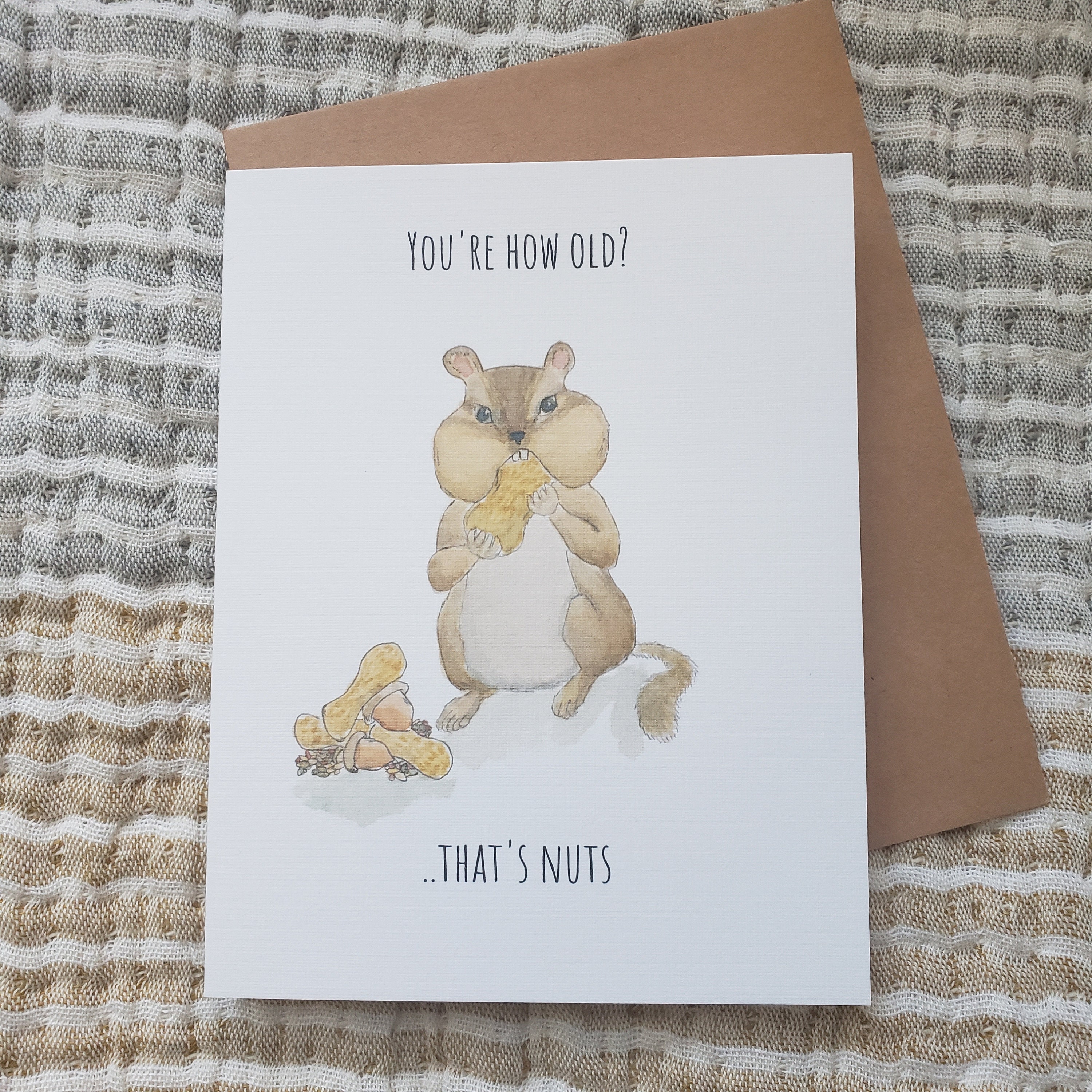 You're How Old?! Chipmunk Birthday Card - Etsy Canada