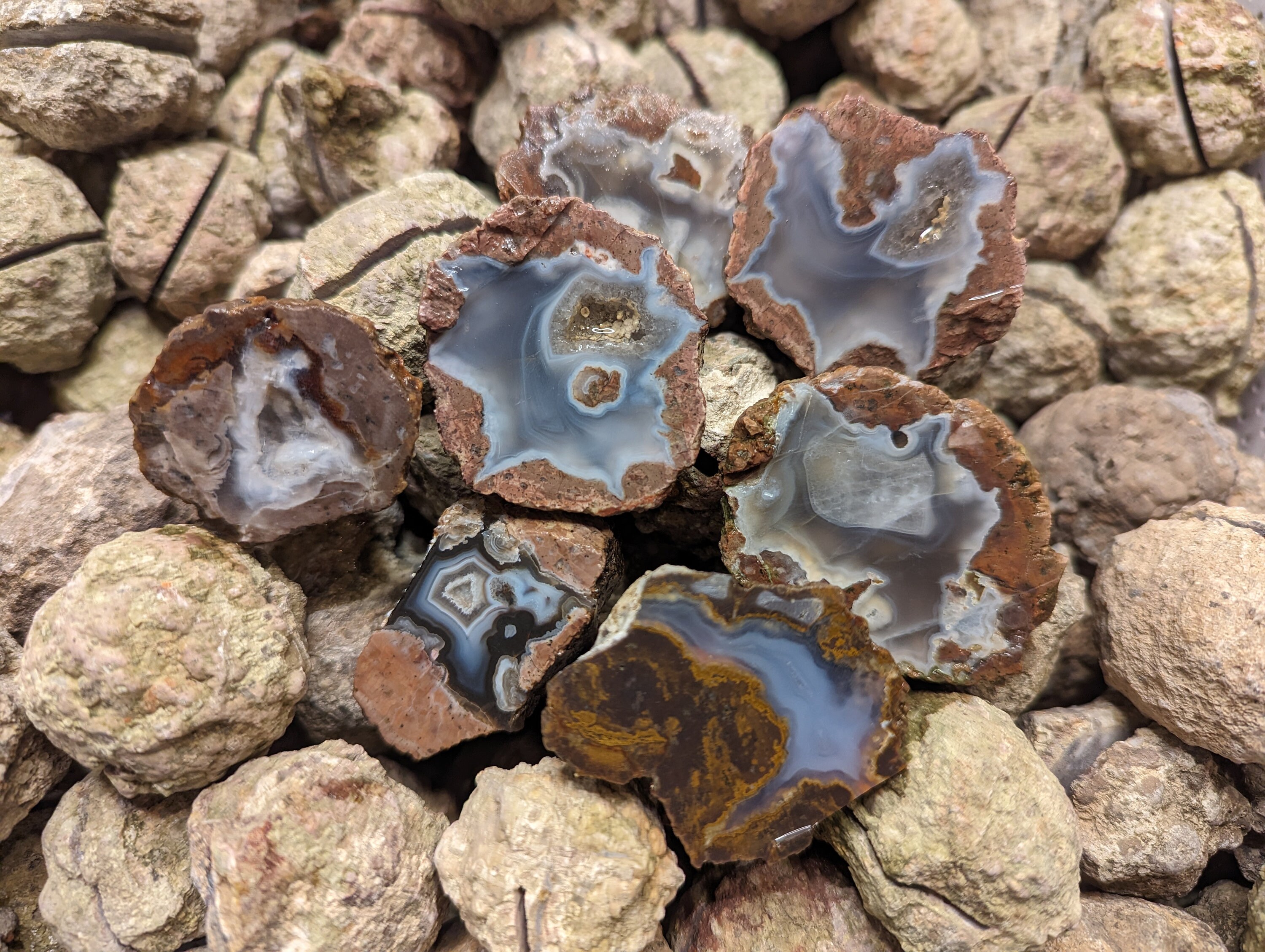 Easy Open Thundereggs Small Pre-cut Thunder Egg Geode Agate Rocks for ...