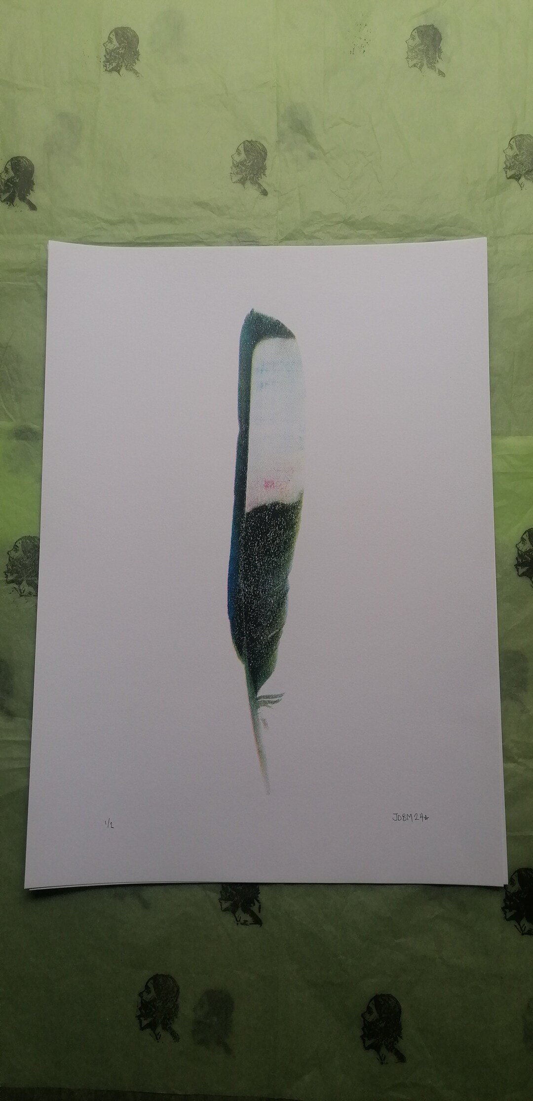 A3 Screenprint Magpie Feather, Cmyk Print, A3 Size - Etsy
