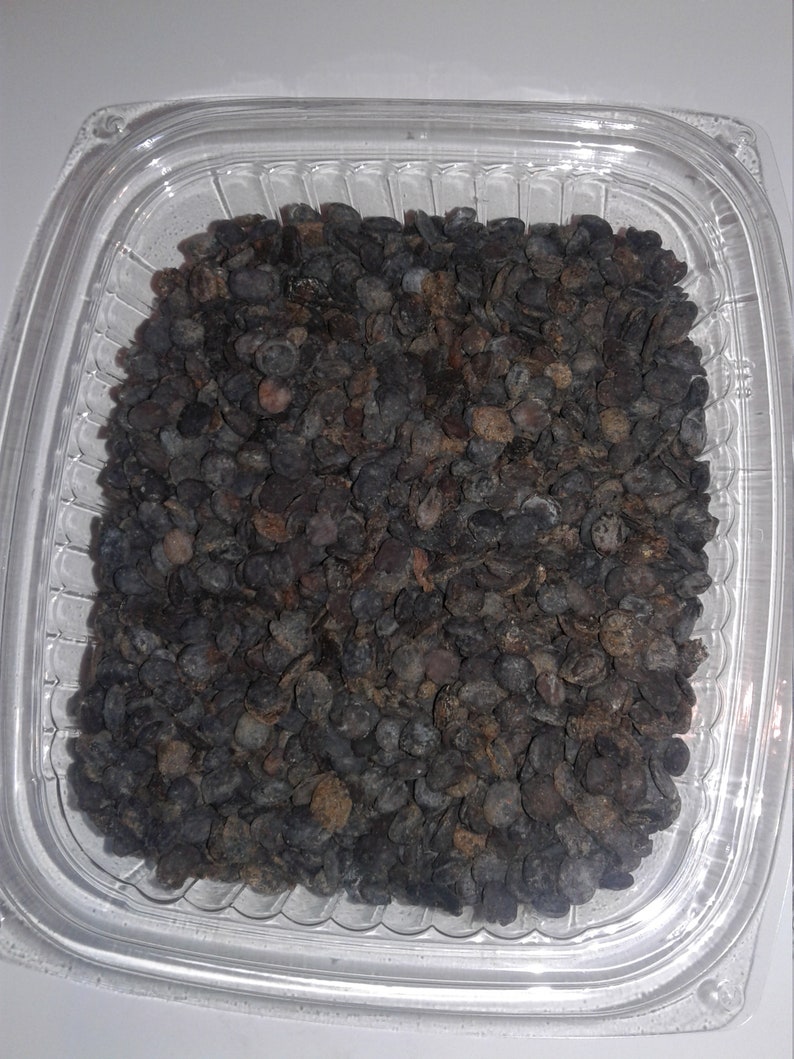 Locust Beans / Iru Ekiti / Dried Iru - Etsy