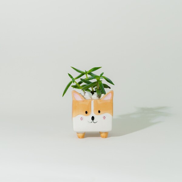 Corgi Planter - Etsy
