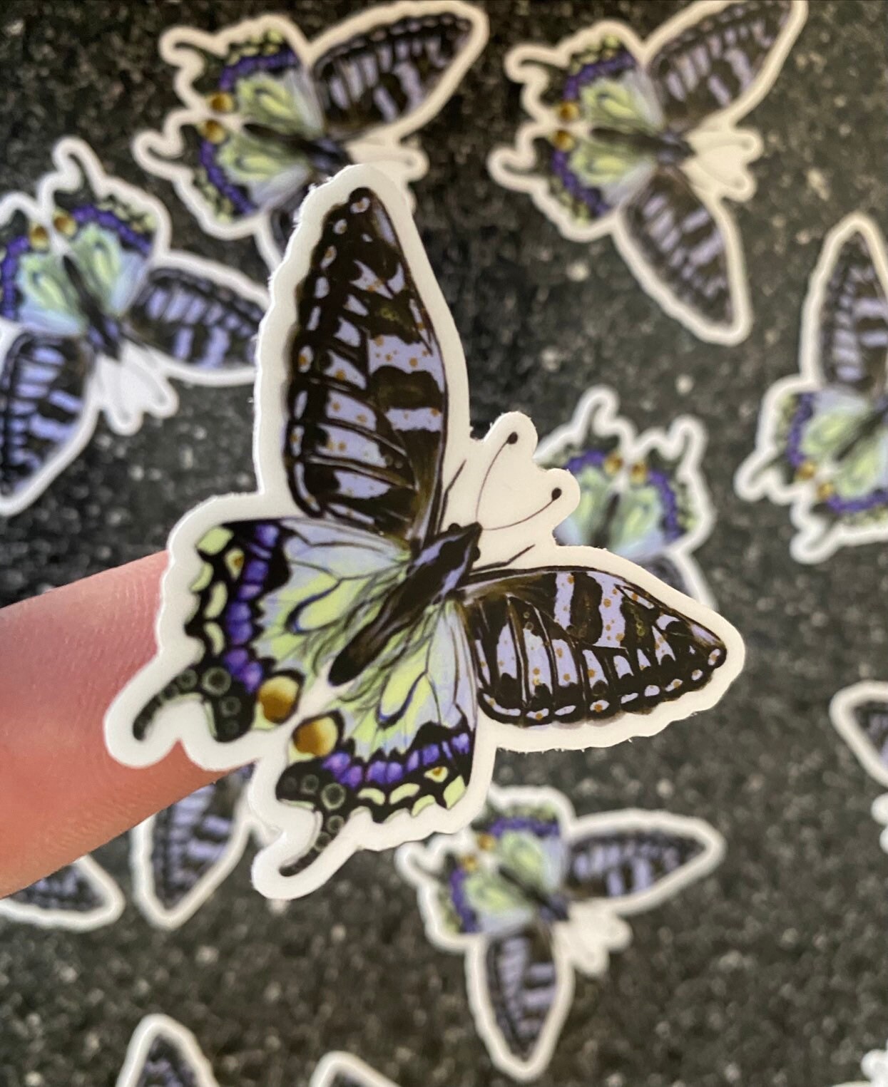 Butterfly Sticker, Butterfly Vinyl Die Cut Sticker, Decal Sticker ...