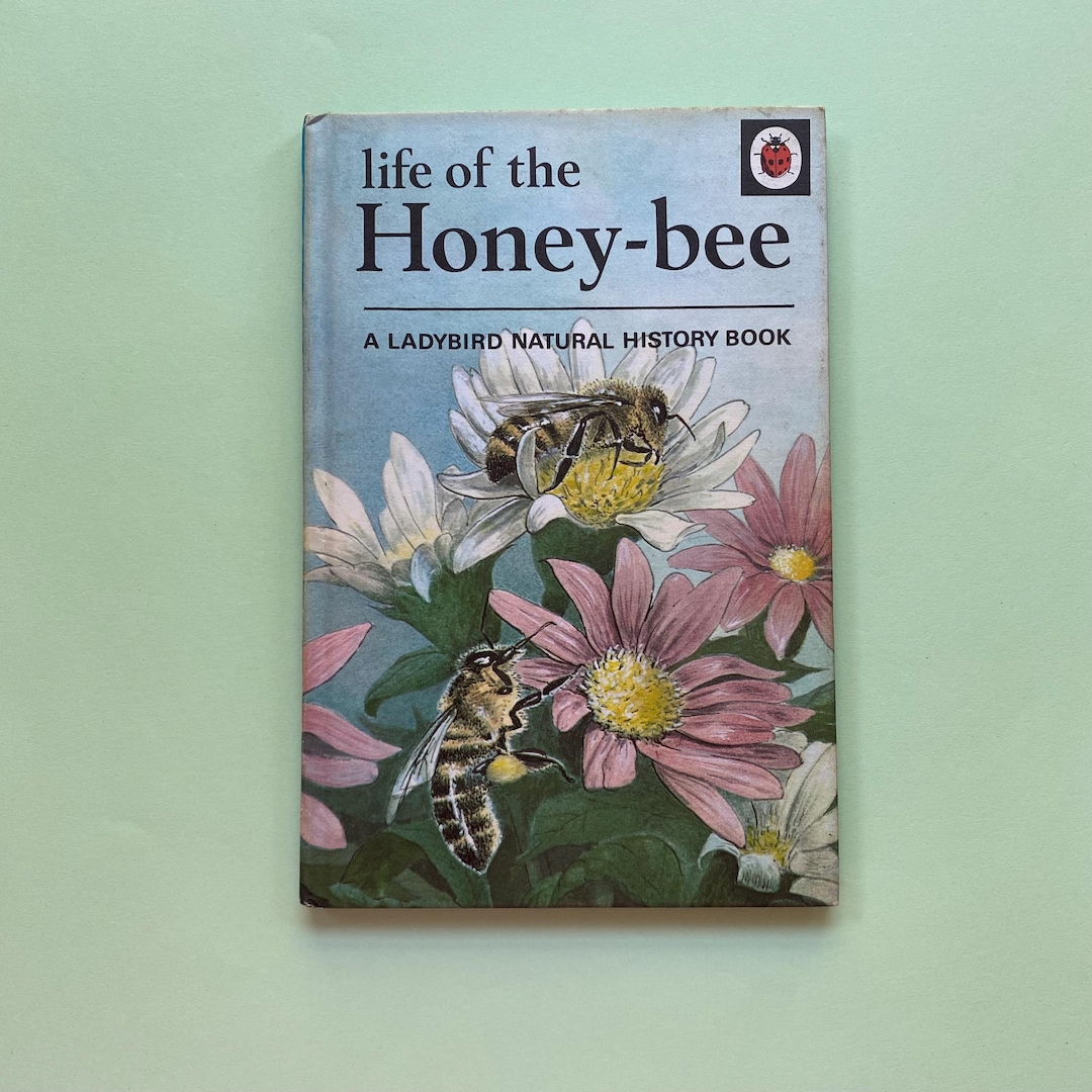 Ladybird the Life of the Honey Bee - Ladybird Nature Books British Wild ...