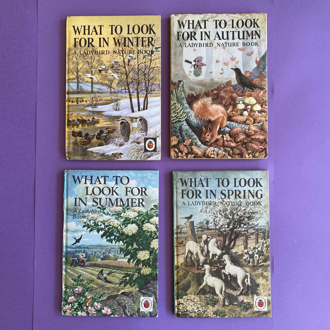 What to Look for in Summer Autumn Winter & Spring Ladybird Nature Books ...
