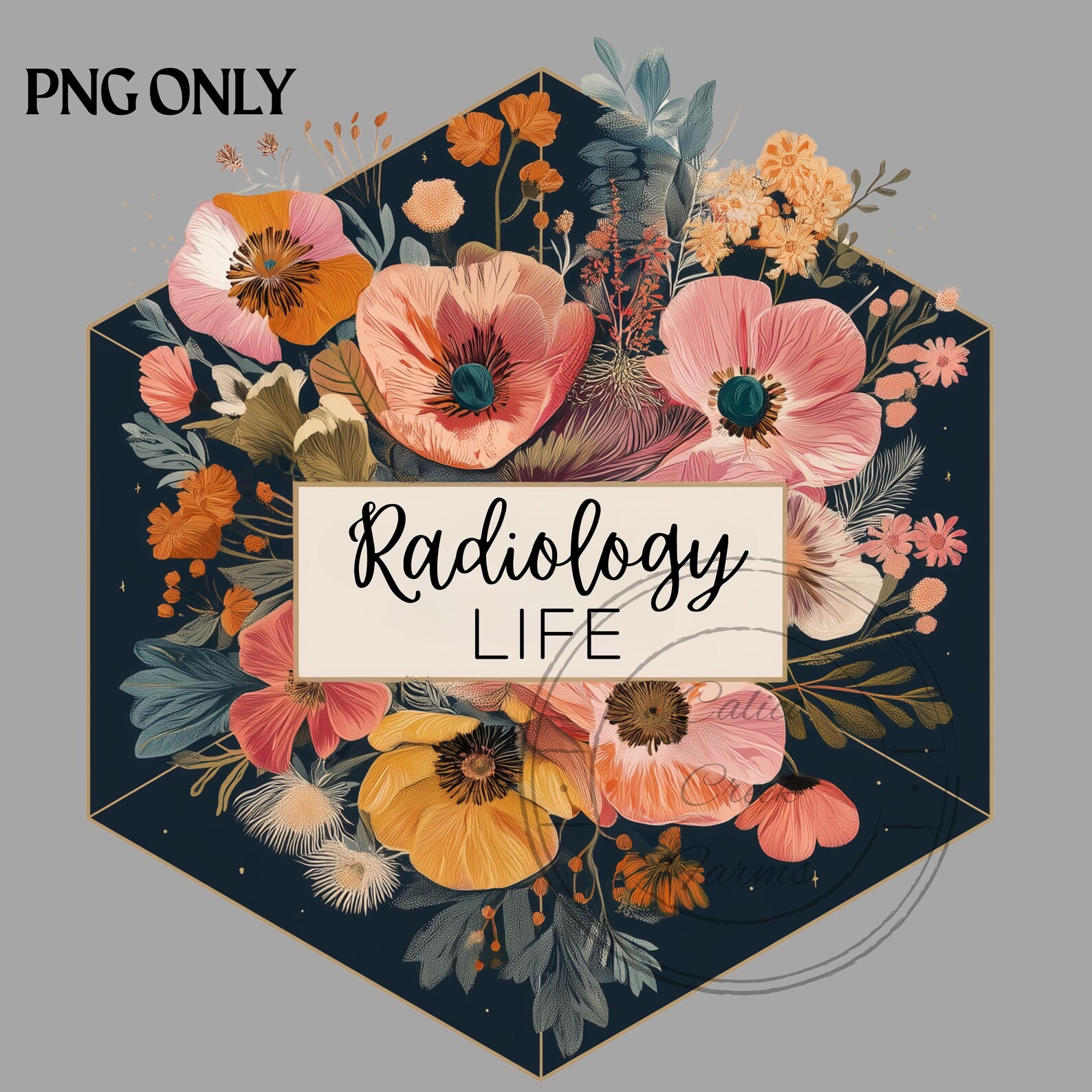 Radiology Life PNG, Rad Tech PNG, X-ray, Skull Bones Skeleton PNG ...
