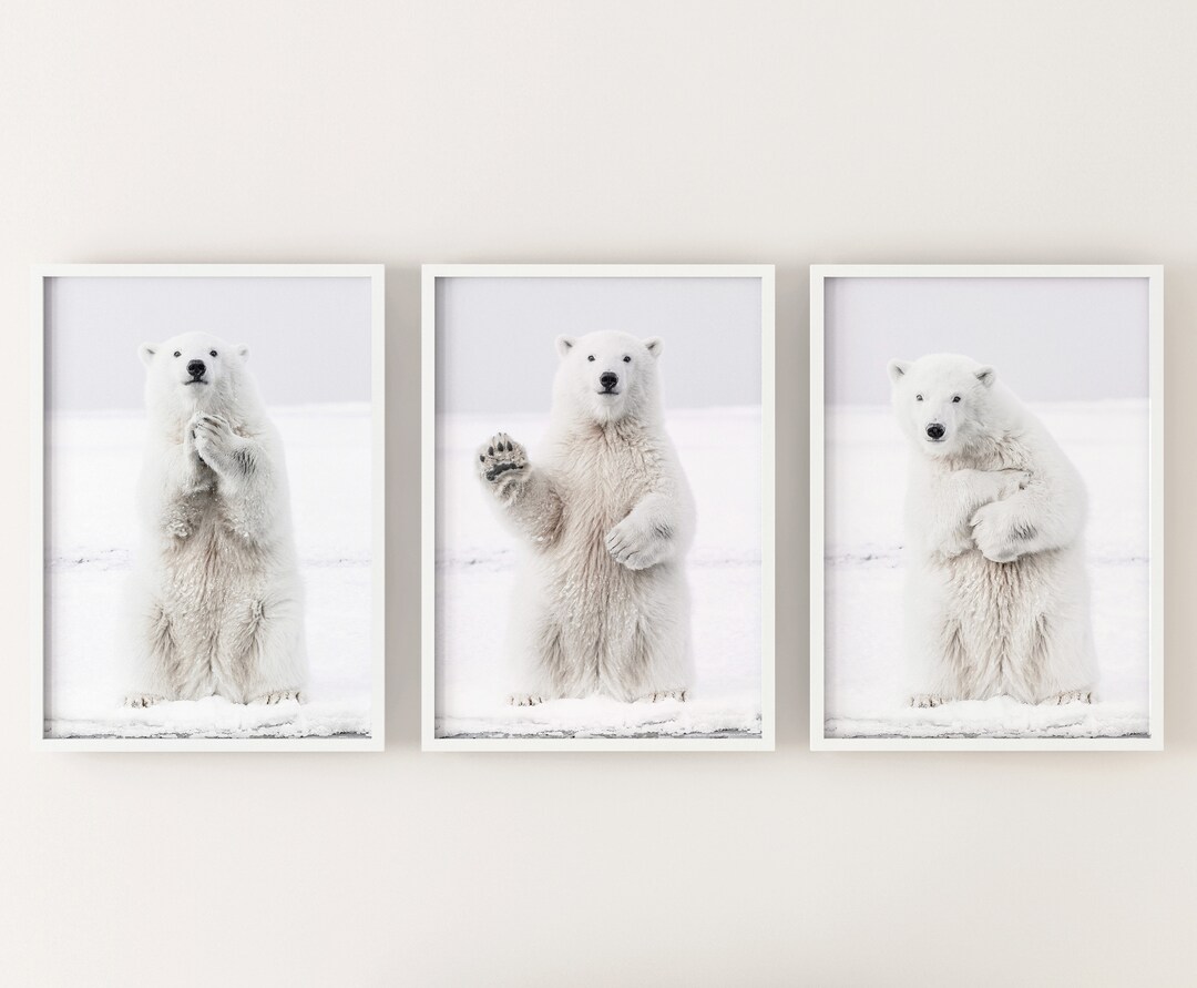 Set of 3 Polar Bear Photos, White Winter Animal Nursery Set, Digital ...