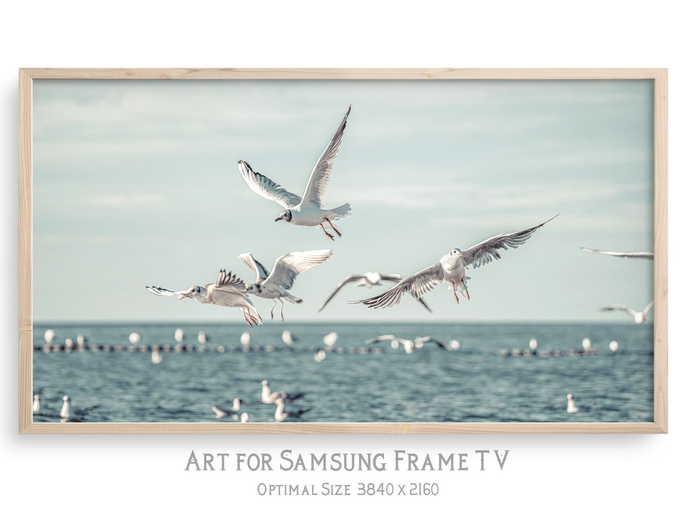 Samsung Frame TV Art Coastal TV Art Flying Seagulls Photo - Etsy