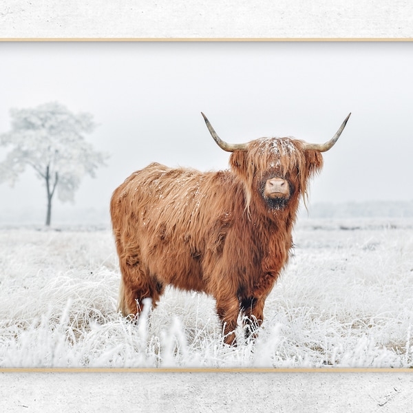 Highland Cow Horizontal Printable - Etsy