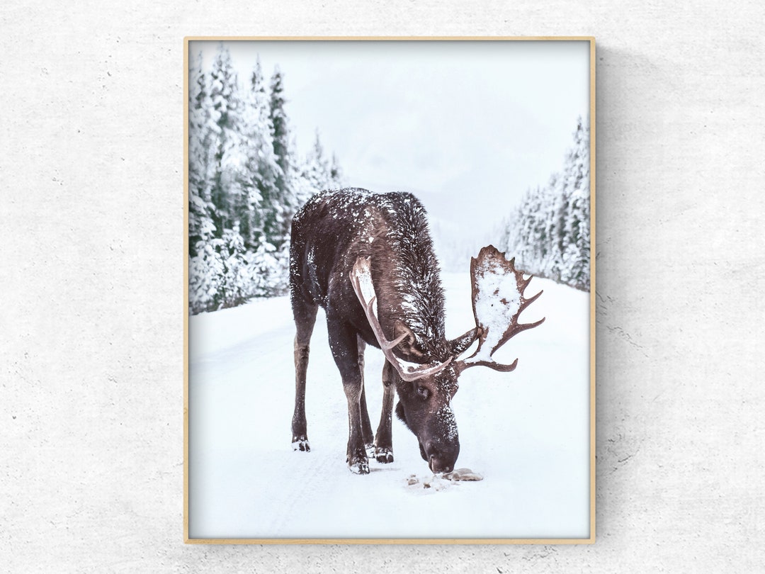 Digital Moose Print, Reindeer in the Snow, Christmas Home Decor ...