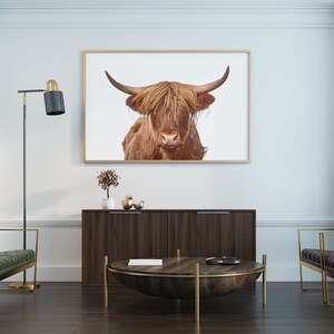 Printable Photo of a Highland Cow, Modern Farmhouse Decor, Minimalist ...