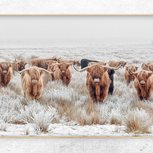 Printable Highland Cow Print Southwestern Farmhouse Decor - Etsy