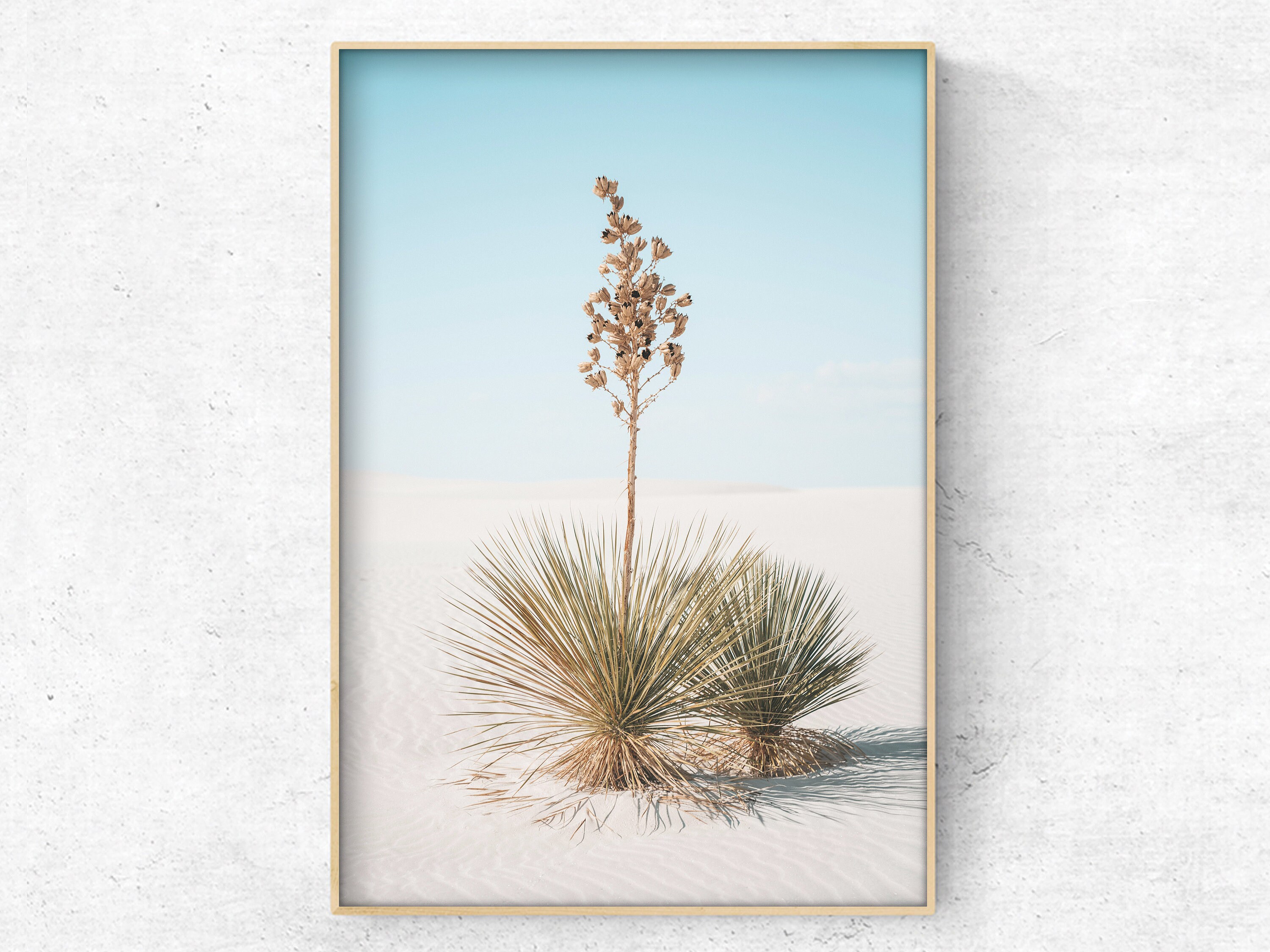 Printable Blooming Desert Plant Photo Boho Digital Art Print | Etsy