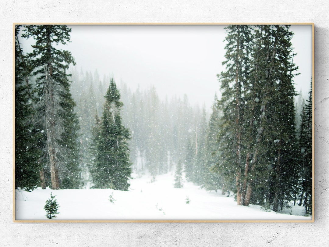 Printable Winter Forest Photo, Snow Christmas Scandinavian Wall Decor ...
