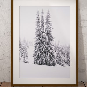 SET OF 6 Winter Forest Prints , Reindeer Photo, Log Cabin , Christmas ...