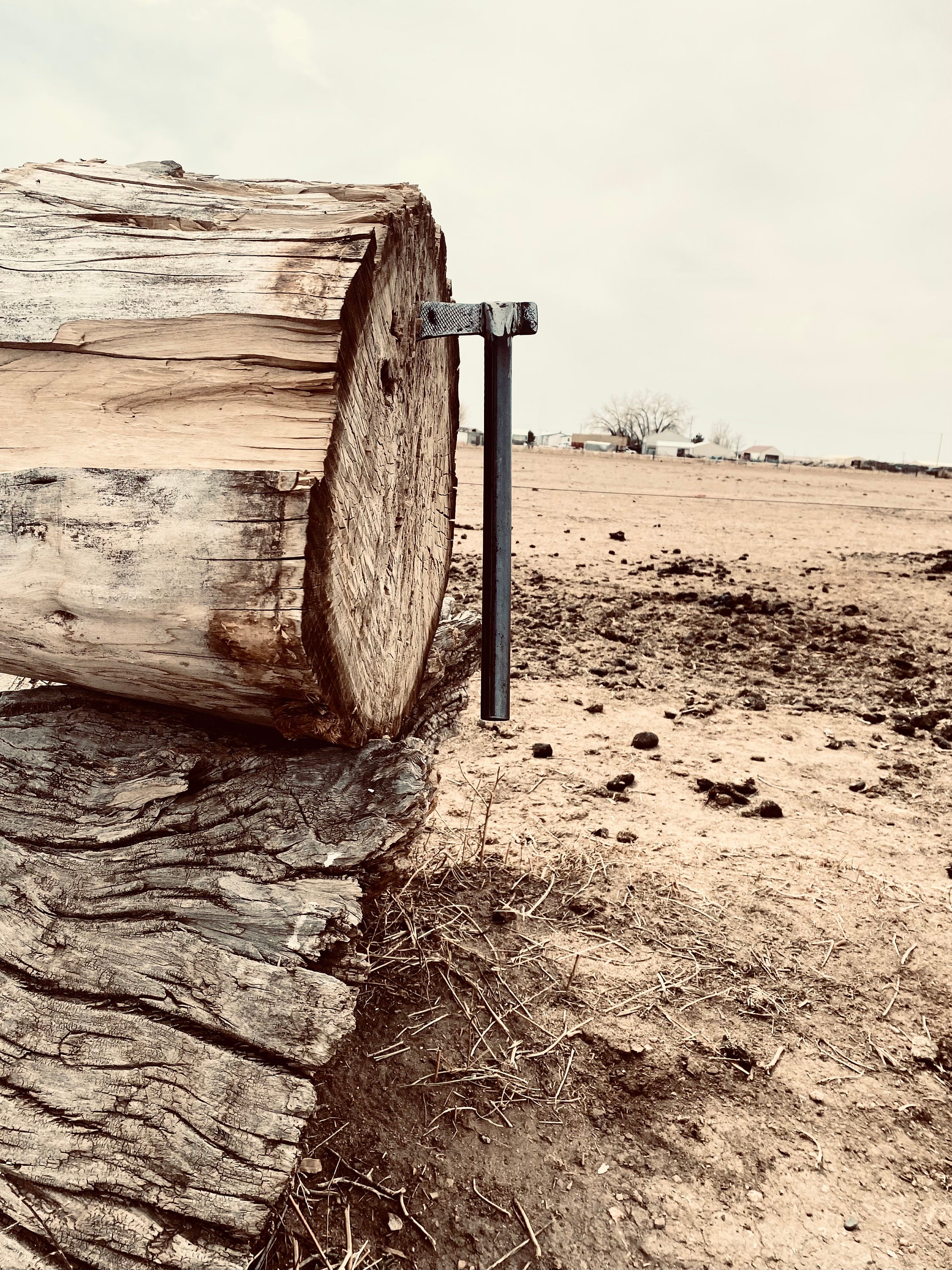 Steel Handled Throwing Hawk Blade Forged From Farriers Rasp - Etsy Canada