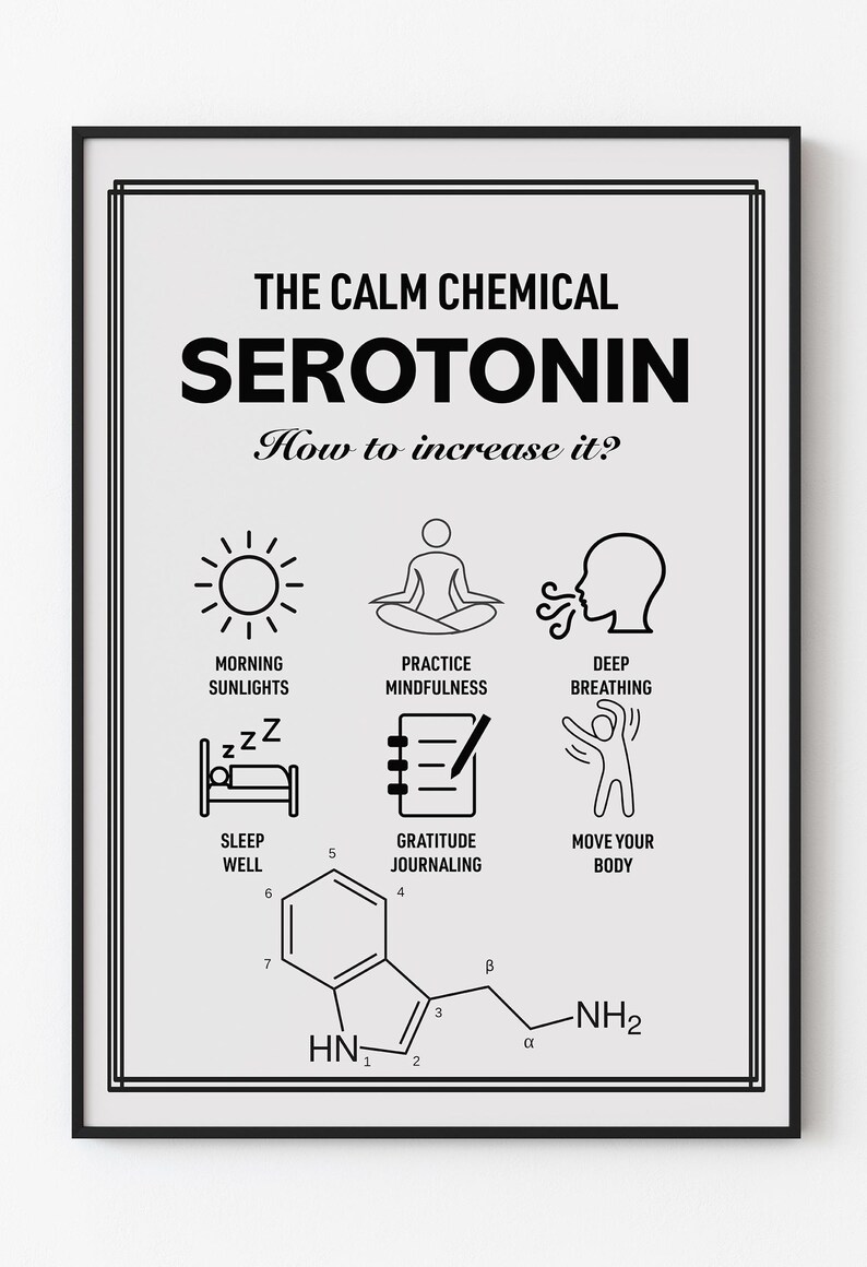 Neurochemical Wall Art Set – Dopamine, Serotonin, Endorphin & Oxytocin ...