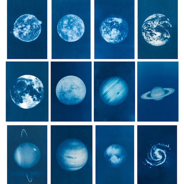 Cyanotype Print - Etsy