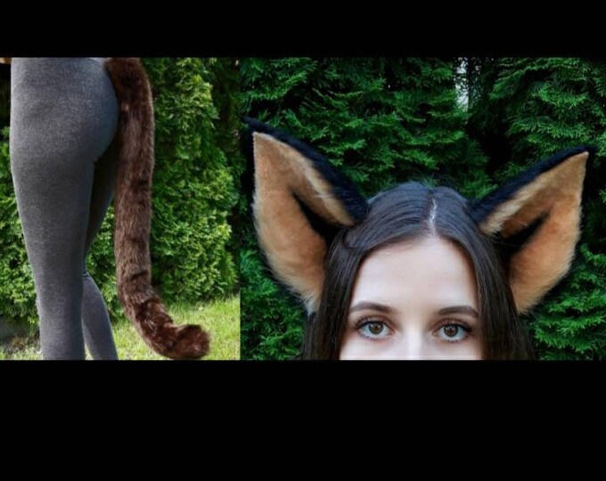 Catra Ears Cosplay - She-ra I Księżniczki Mocy - Etsy