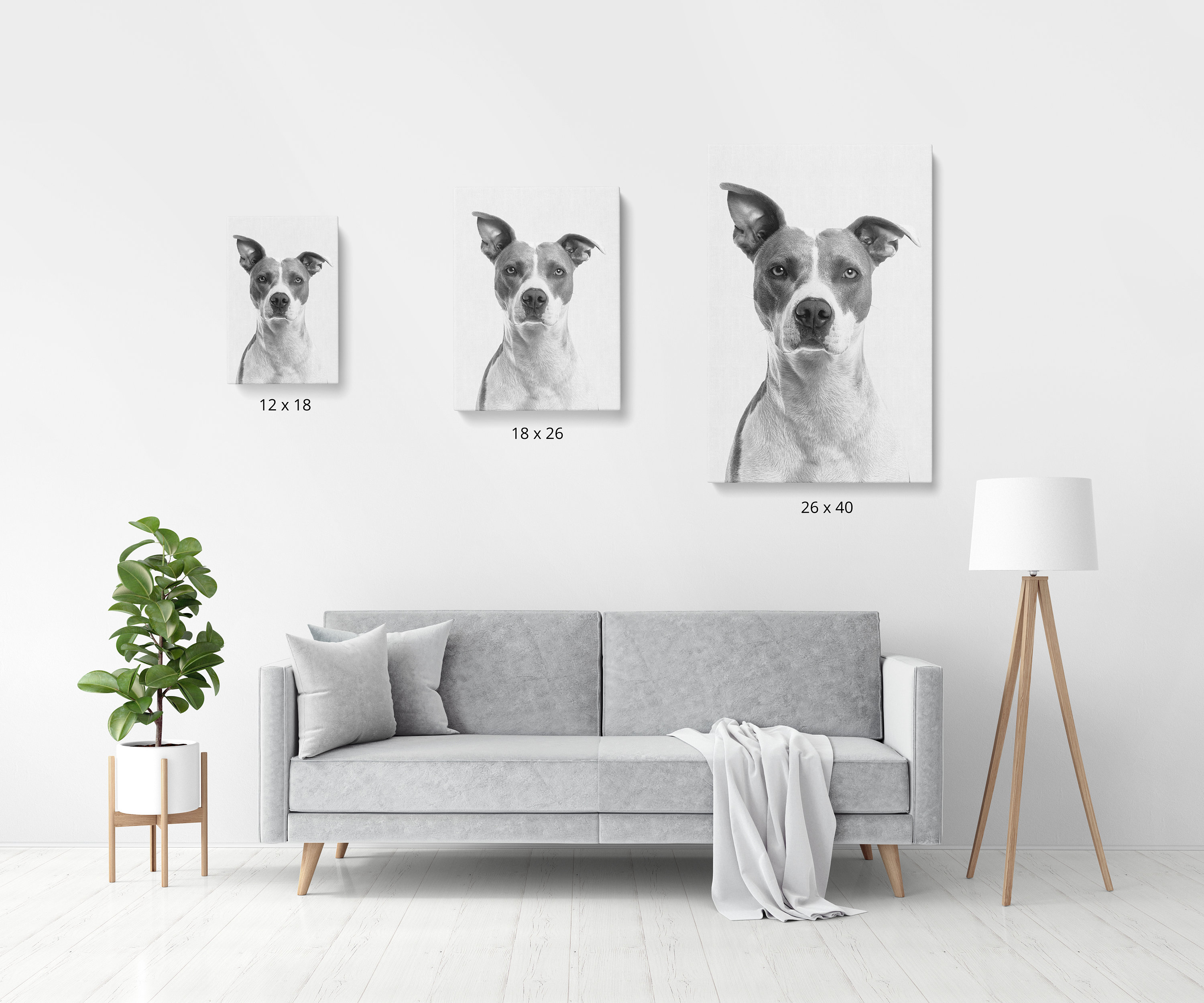 Custom Pet Portrait Canvas Wall Art Picture of Your Pet | Etsy