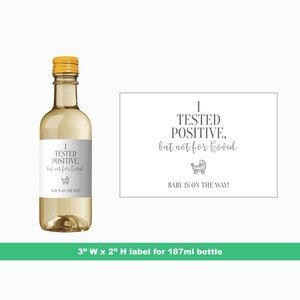 Positive Pregnancy Test Mini Wine Labels Unique Baby Announcement ...