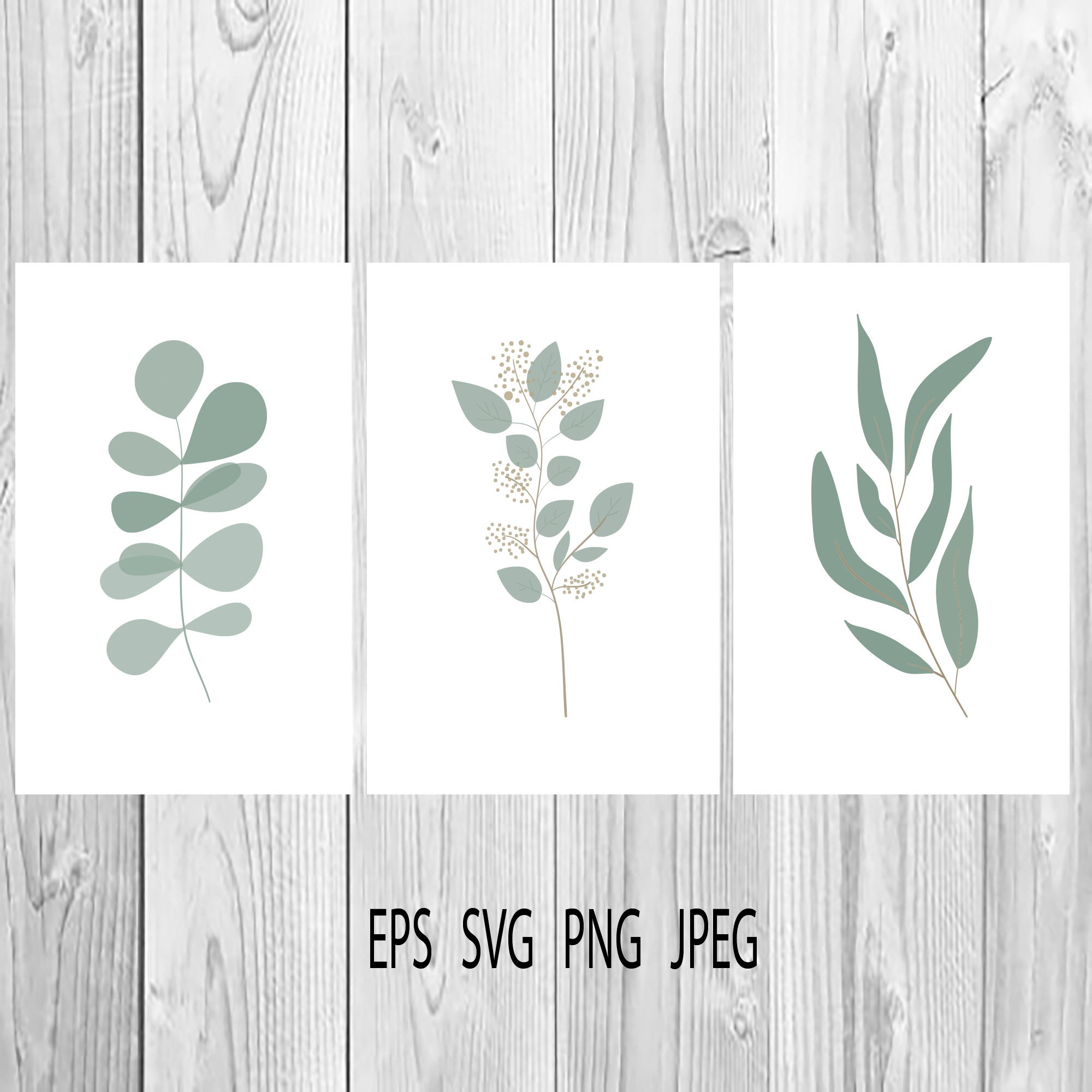Eucalyptus Svg, Eucalyptus Print Set, Botanical Svg Set, Leaves Vector ...
