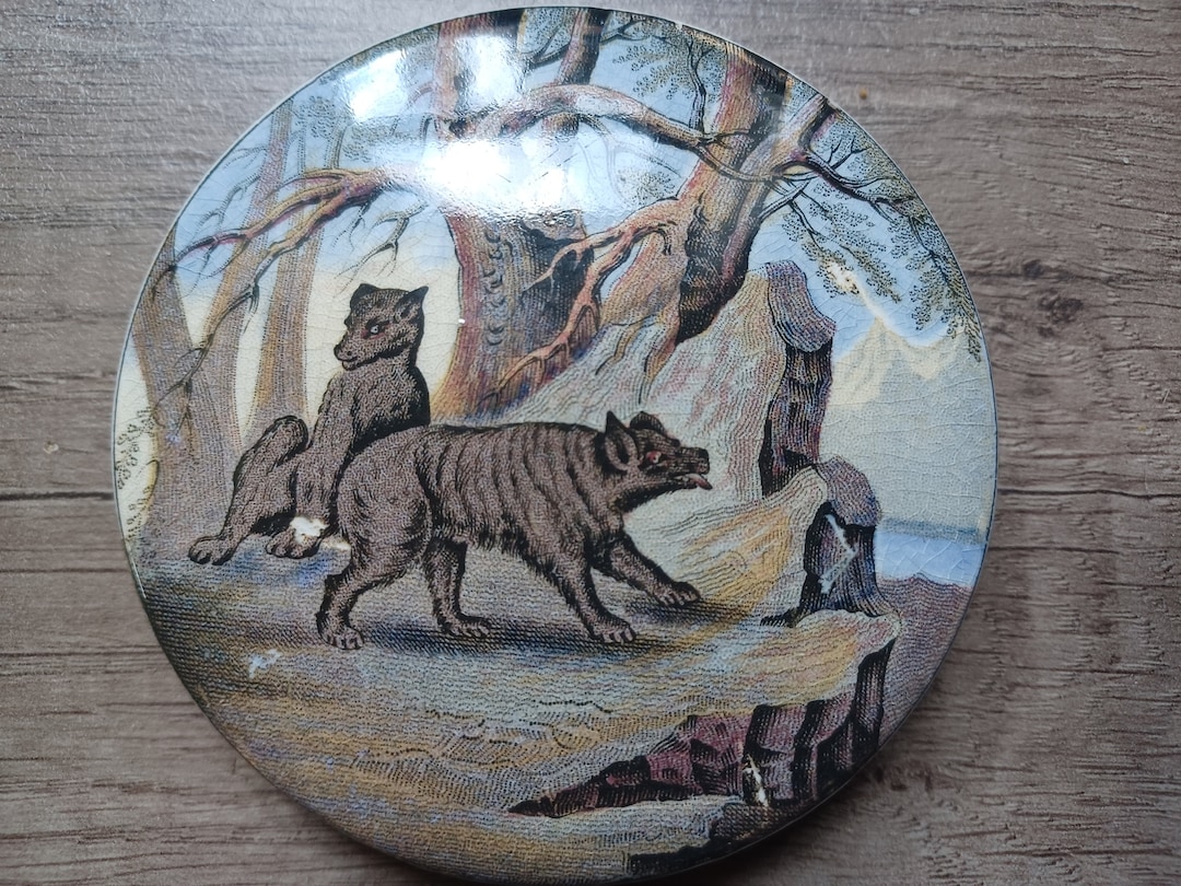 Victorian Pratt Ware Pot Lid. Bears on a Rock. - Etsy