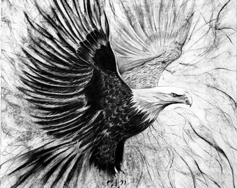 eagle flying drawing