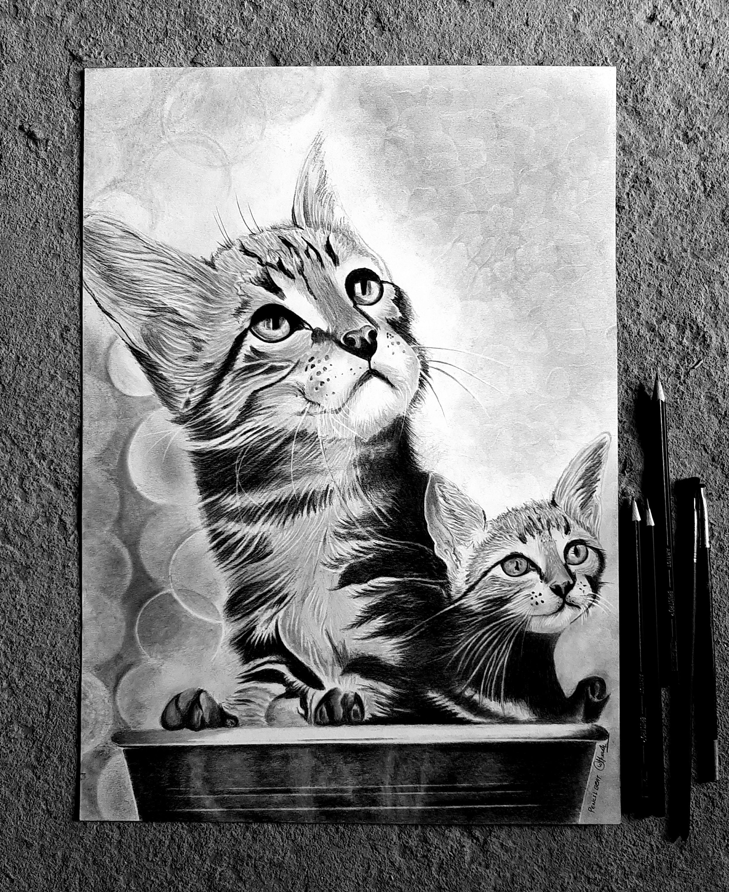 Original Cat & Kitten Art Cats Drawing Tabby Cats Original - Etsy