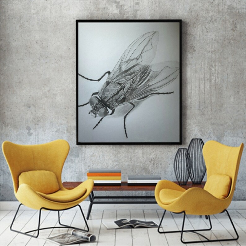 Original Pencil Drawing, Fly Painting, Miniature Art, Blow Fly ...