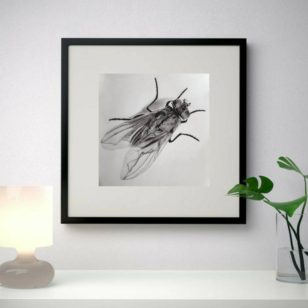Original Pencil Drawing, Fly Painting, Miniature Art, Blow Fly ...