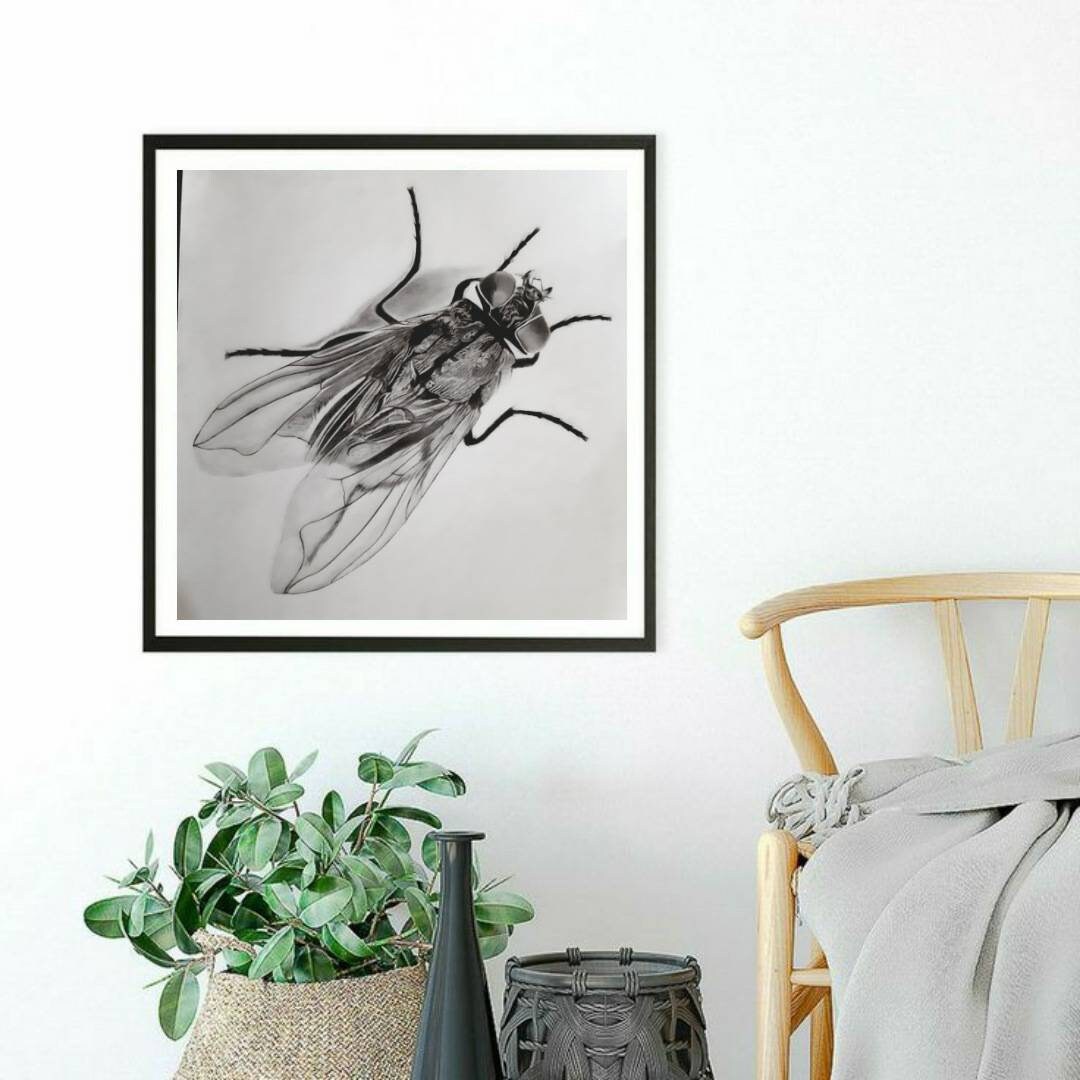 Original Pencil Drawing, Fly Painting, Miniature Art, Blow Fly ...