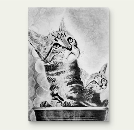 Realistic Kitten Drawing