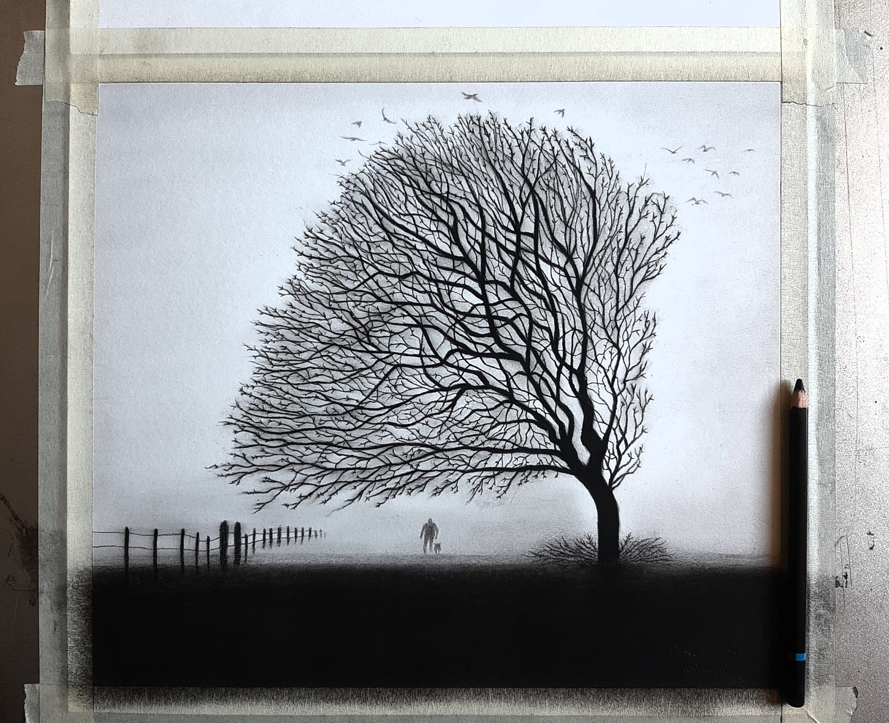 Bare Tree Branches in Sky, Minimalist Nature, B&w Tree Wall Art, Unique ...