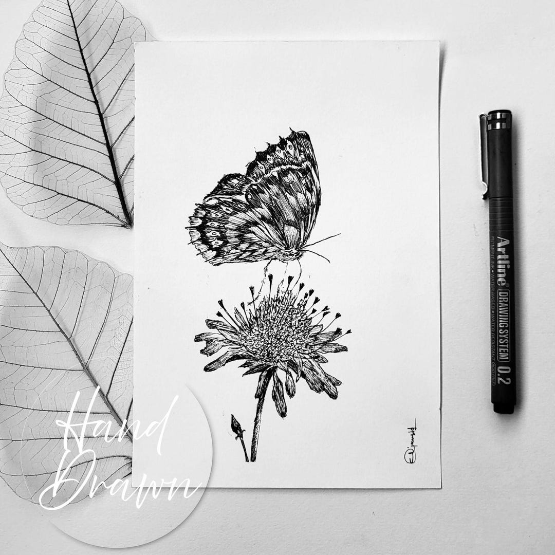 Original Butterfly Ink Drawing –small Nature Fine Line Art Sketch (5 ...