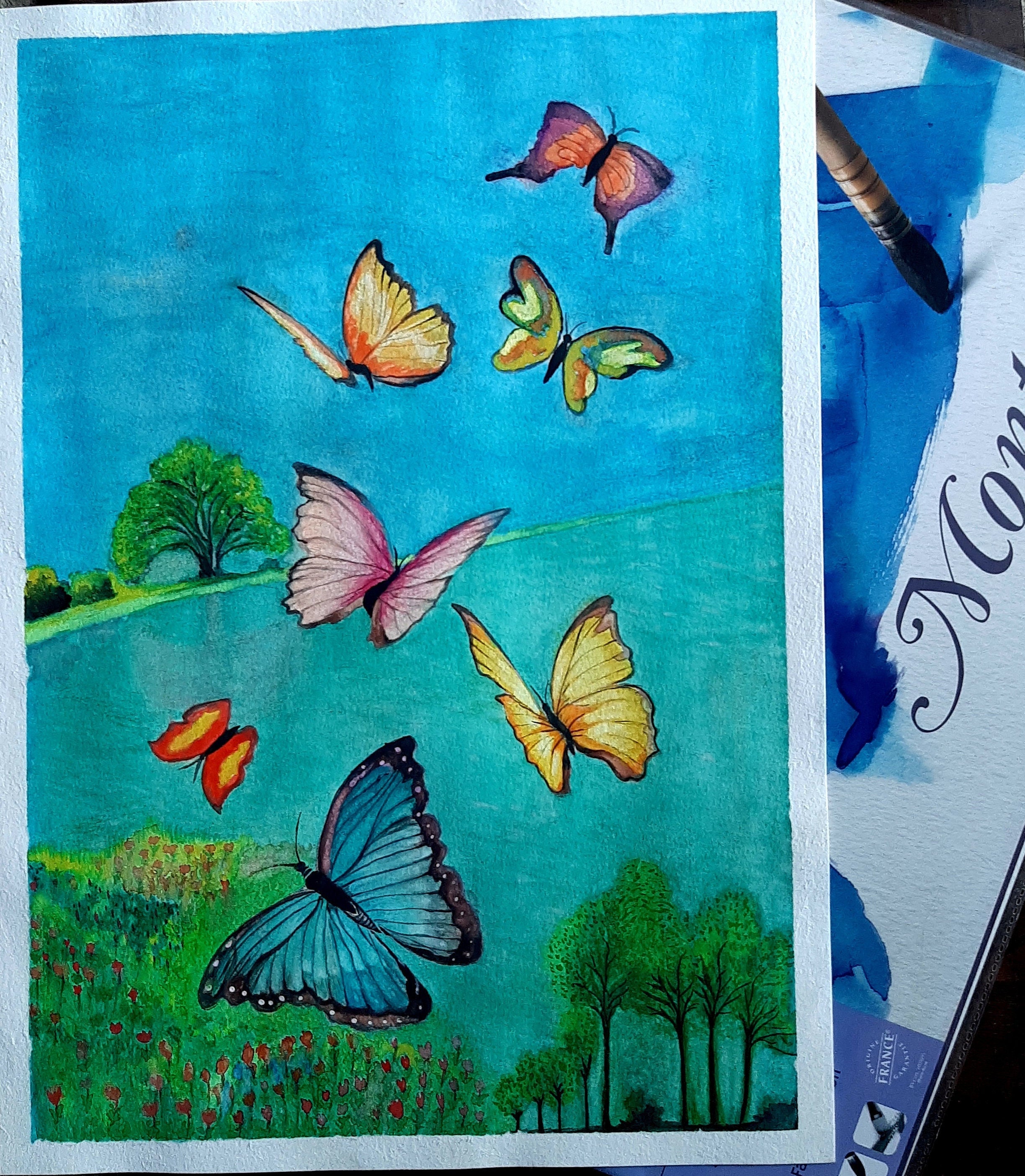 Butterfly Drawings With Color Easy