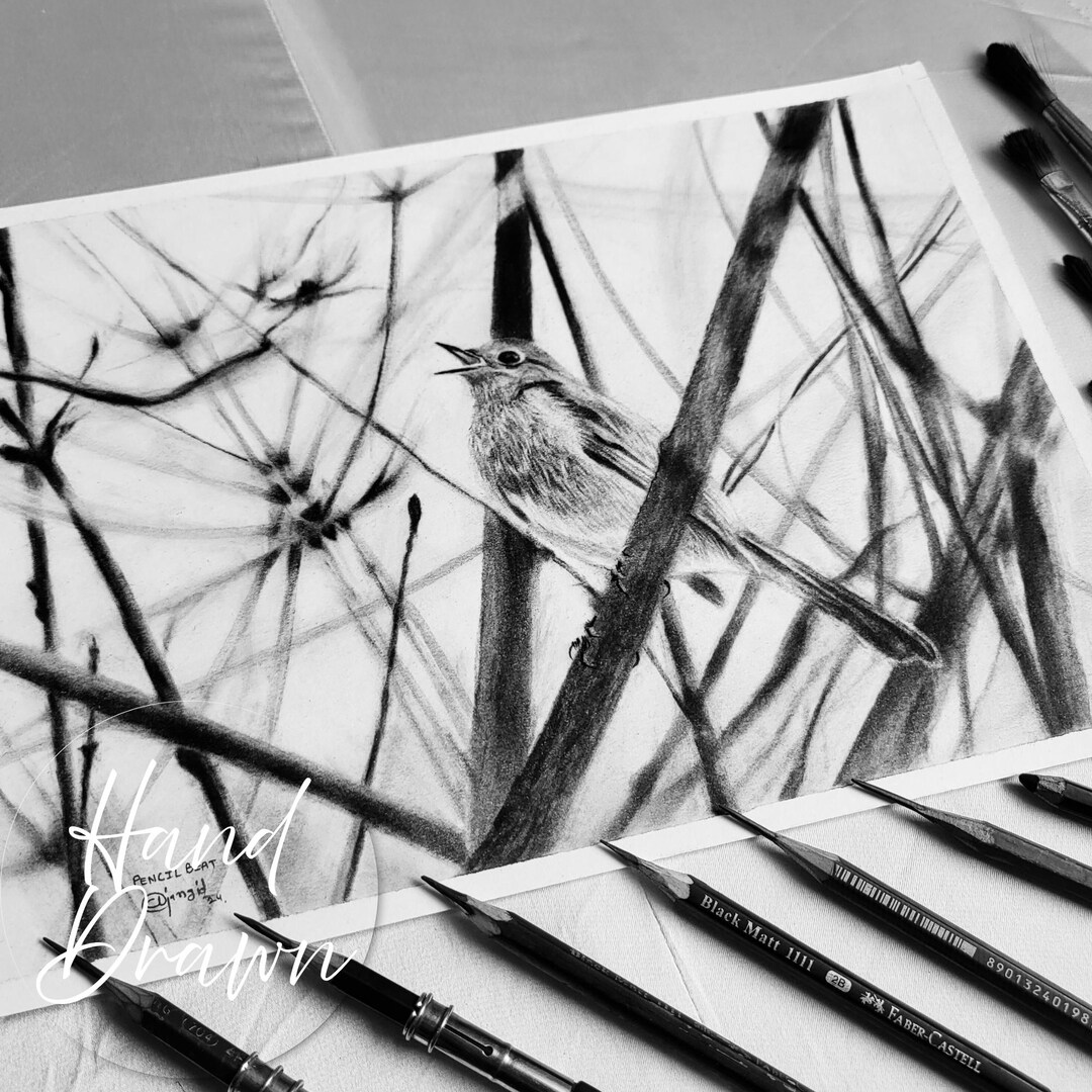 Handmade Robin Pencil Drawing: Realistic Songbird Wall Art, Ready to ...