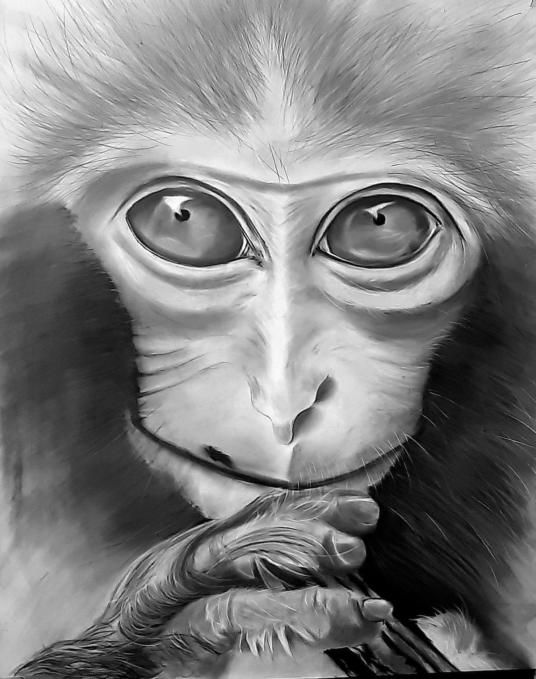 Realistic Monkey Drawing