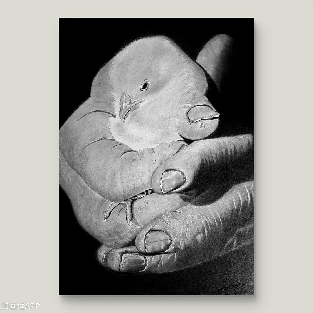 Cradle of Life Pencil Drawing | Baby Bird in Hands Art | Handmade ...