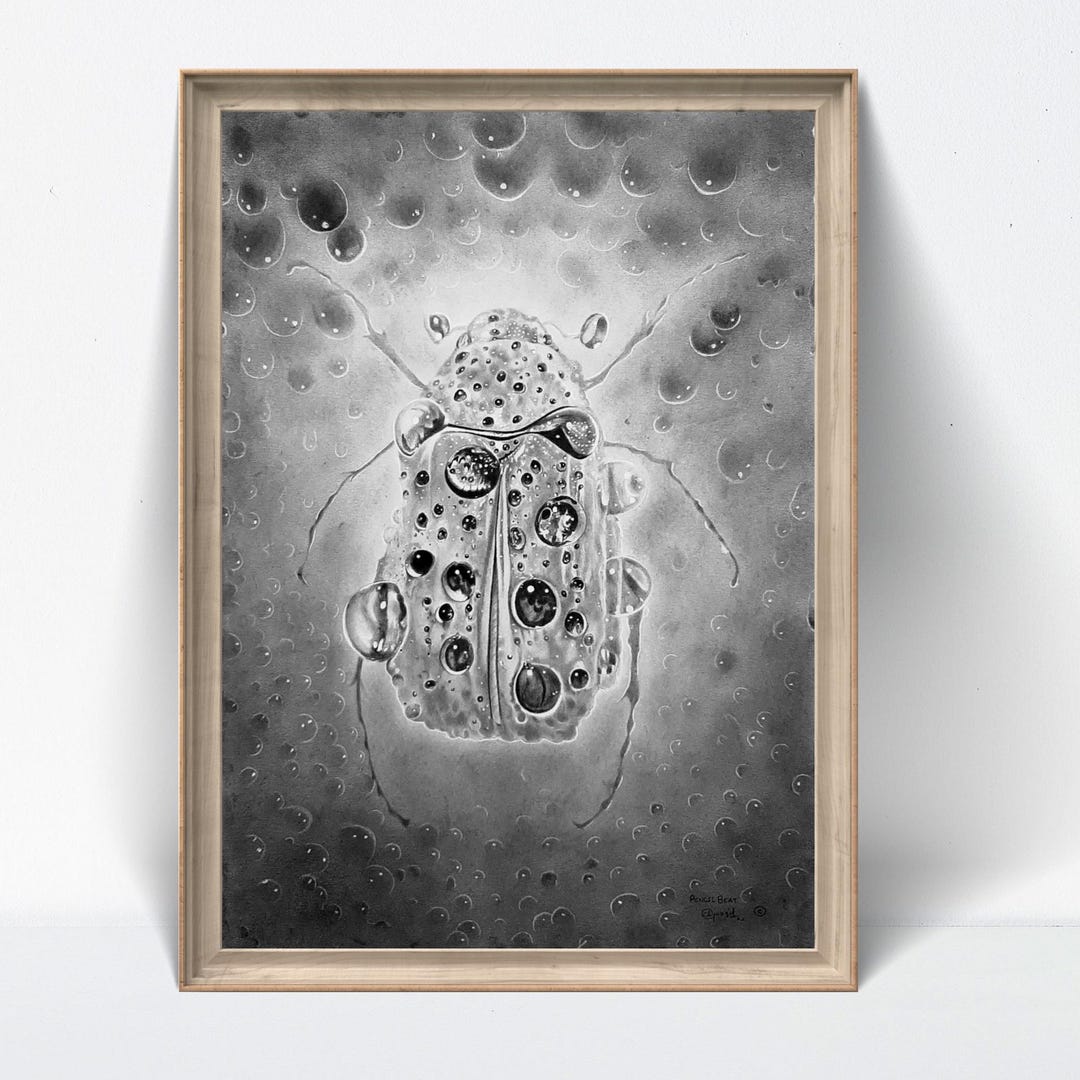 ORIGINAL Pencil Drawing Lady Bug Handmade Insect Sketch Realistic ...