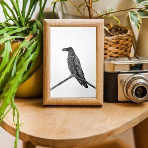Original Australian Raven Ink Drawing, Handmade Bird Art Illustration ...