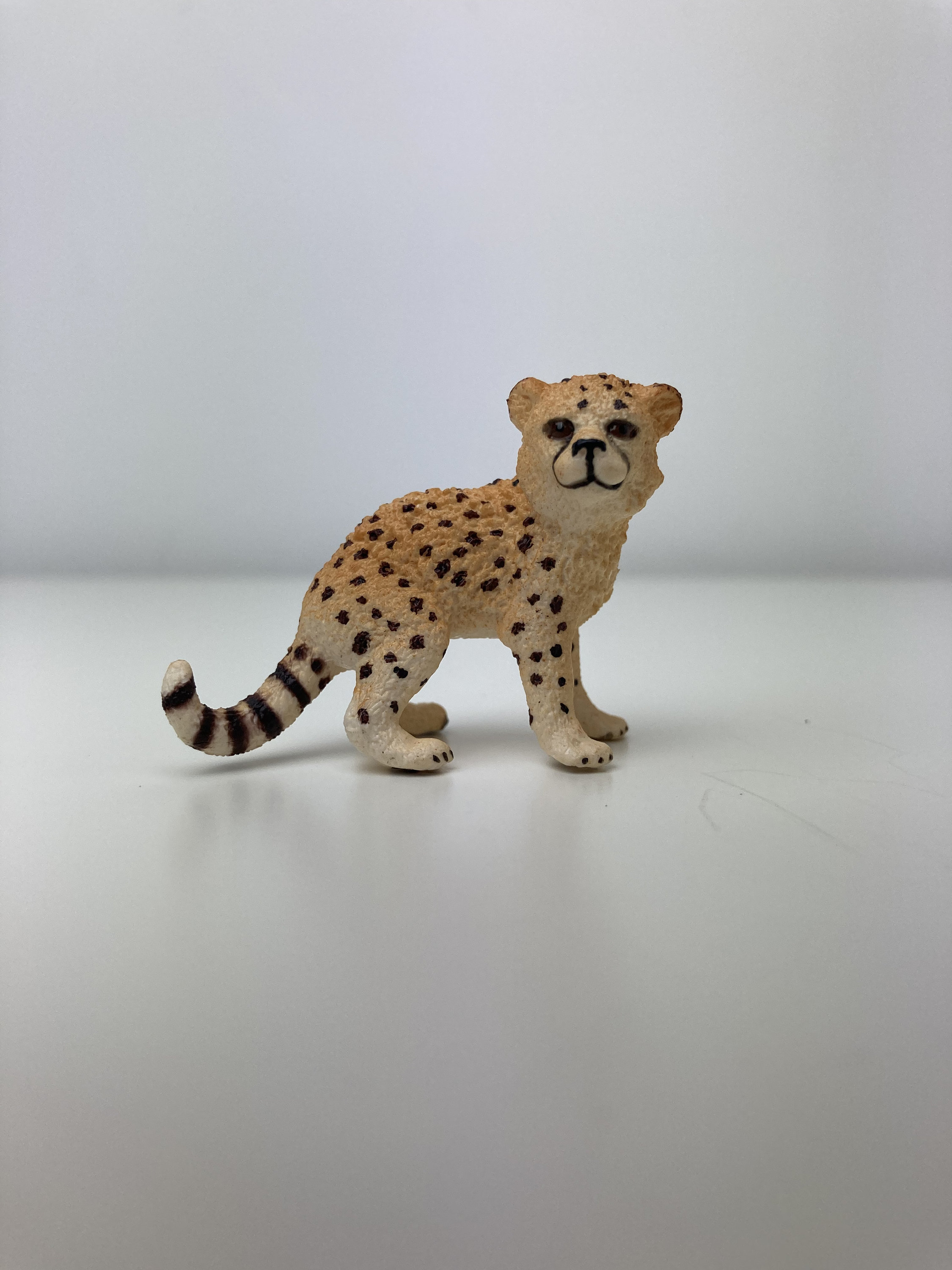 Cheetah Cub Party Animal Cake Topper Keepsake | Etsy