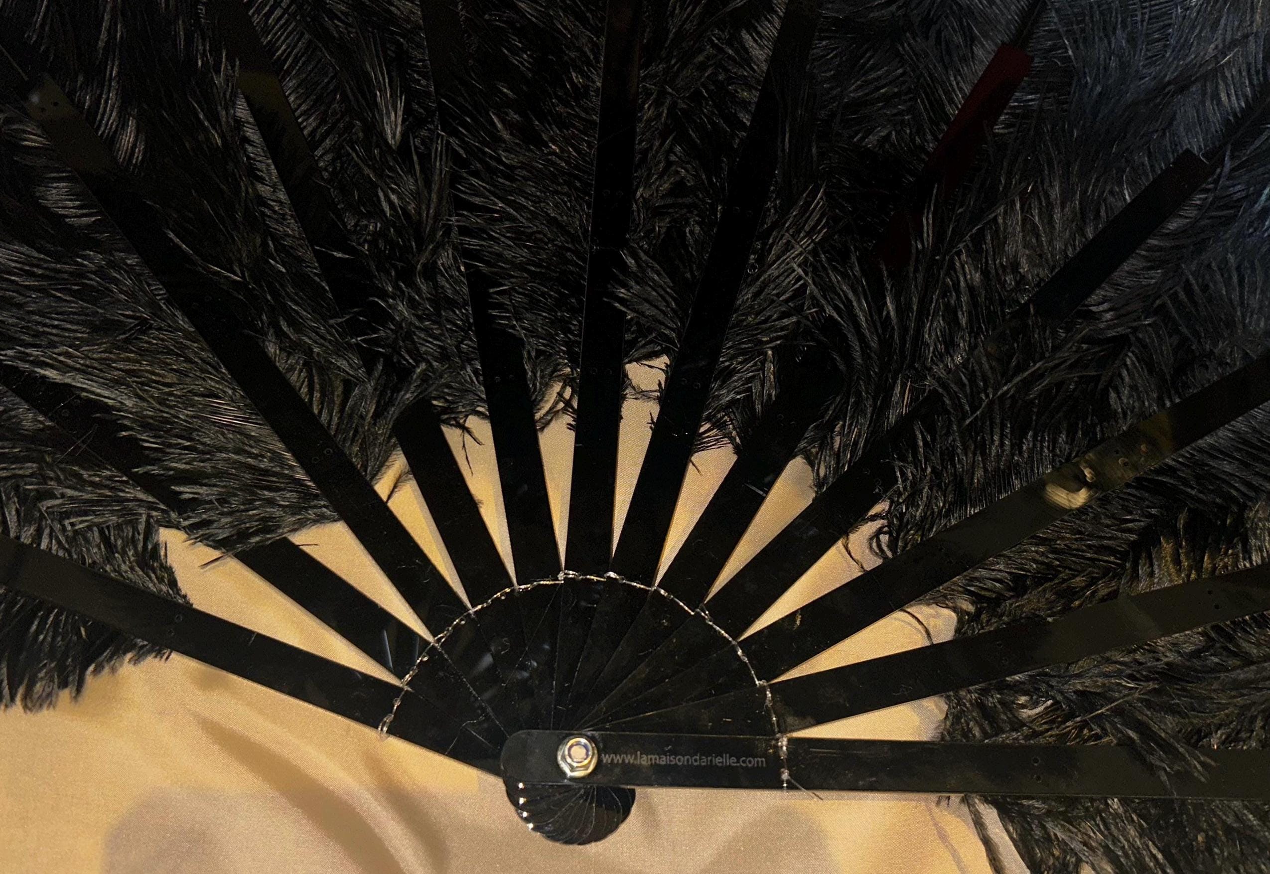 Burlesque Plastic Fan Staves in Clear Acrylic for Making DIY Burlesque ...