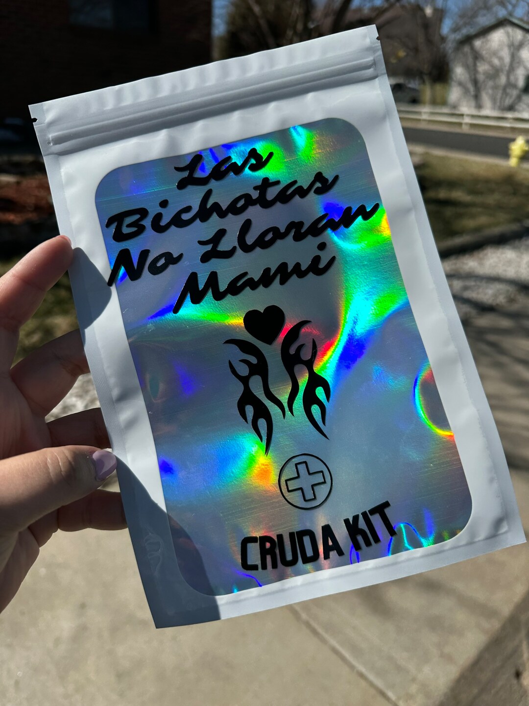 Las Bichotas No Lloran Mami • Karol G • Cruda Kit • Hangover • Birthday ...