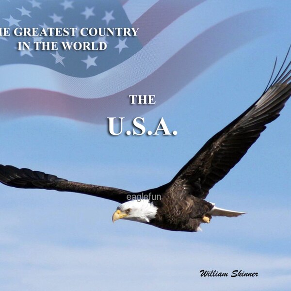 Flying Eagle Hats - Etsy