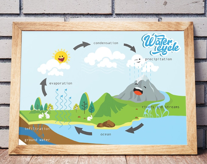 Water Cycle Poster Science Poster Educational Poster Wall - Etsy UK