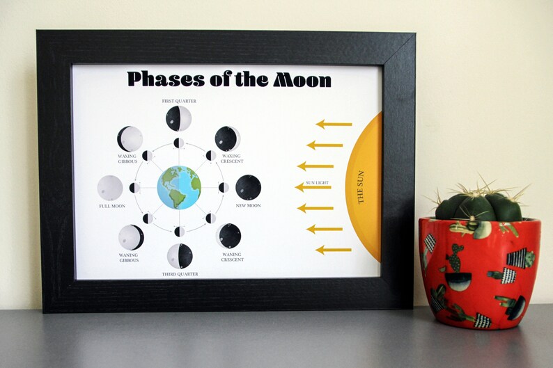 Moon Phases | Phases of the Moon | Classroom Poster | Educational ...