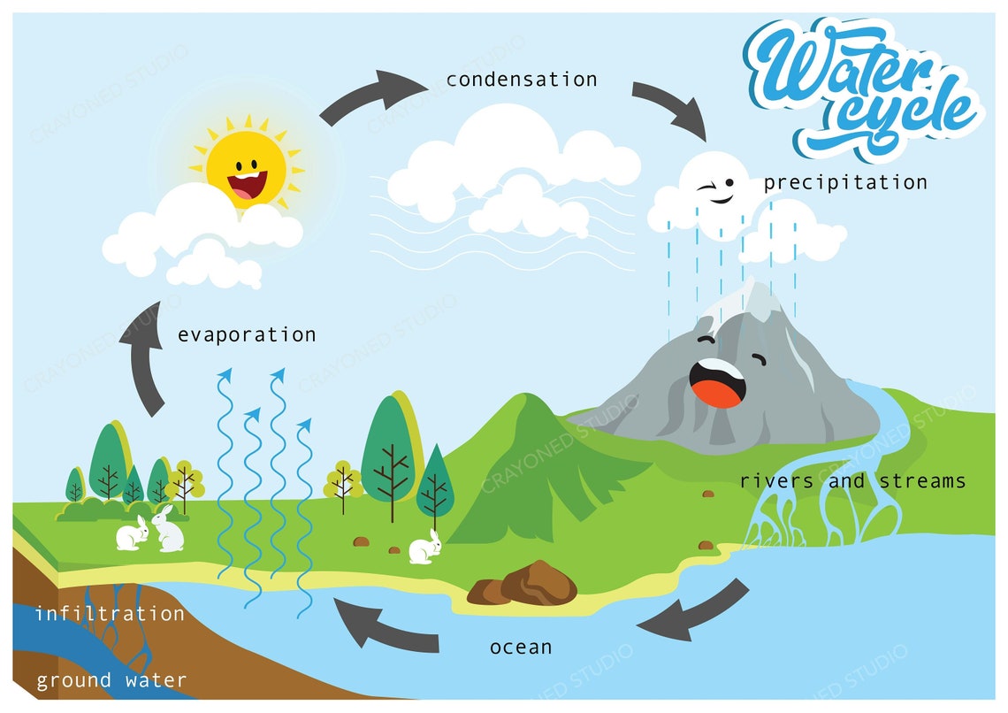 Water Cycle Poster Science Poster Educational Poster Wall | Etsy UK